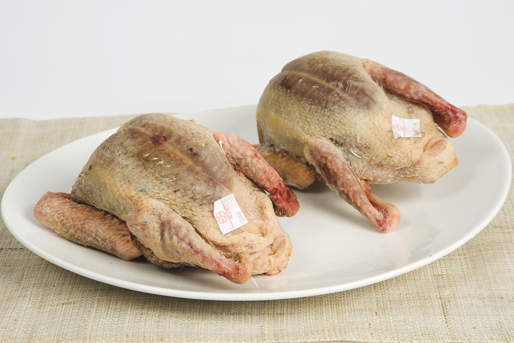 PICHON CASERO (ART.58) | OTRAS AVES | Pollería Julia | Frescos Zaragoza