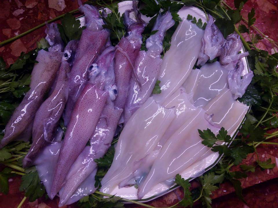 CHIPIRONES (ART.15) | MARISCOS | Congelados Mamen y Julio | Frescos ...