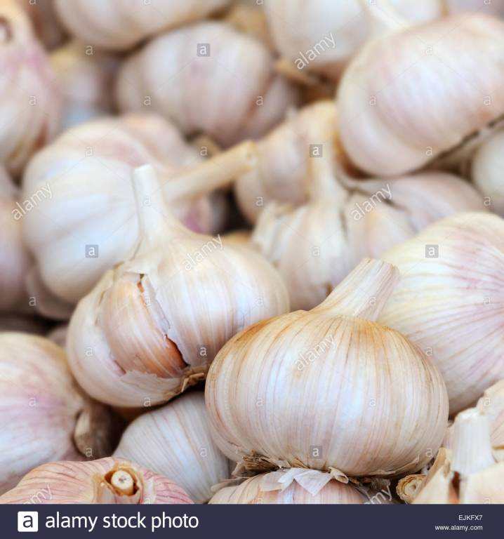 AJO (ART.26) | VERDURAS | Frutas Ciudad Jardín | Frescos Zaragoza