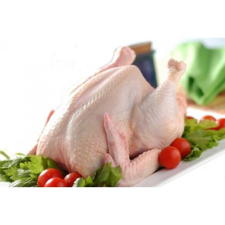 POLLO FRESCO EXTRA (ART.1) | POLLO | Pollos y Congelados Chon | Frescos ...